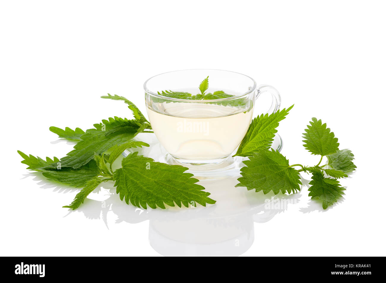 Stinging nettle tea Stock Photo - Alamy