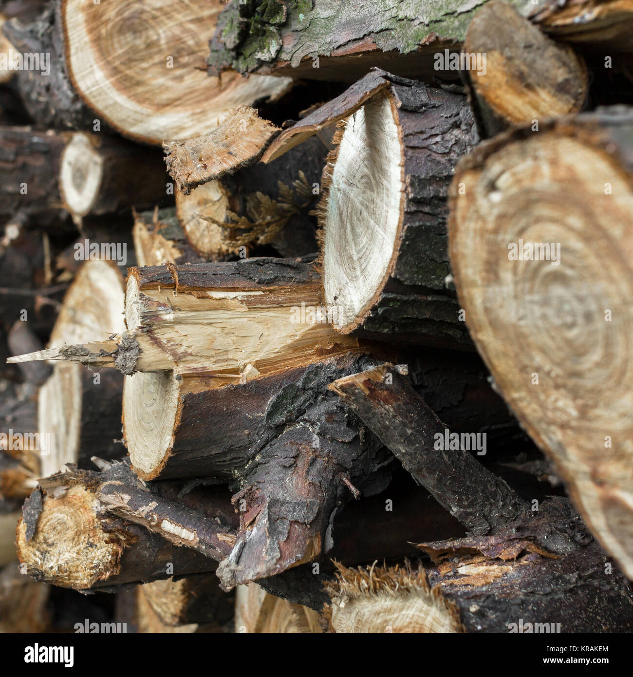 Stack of firewood Stock Photo - Alamy