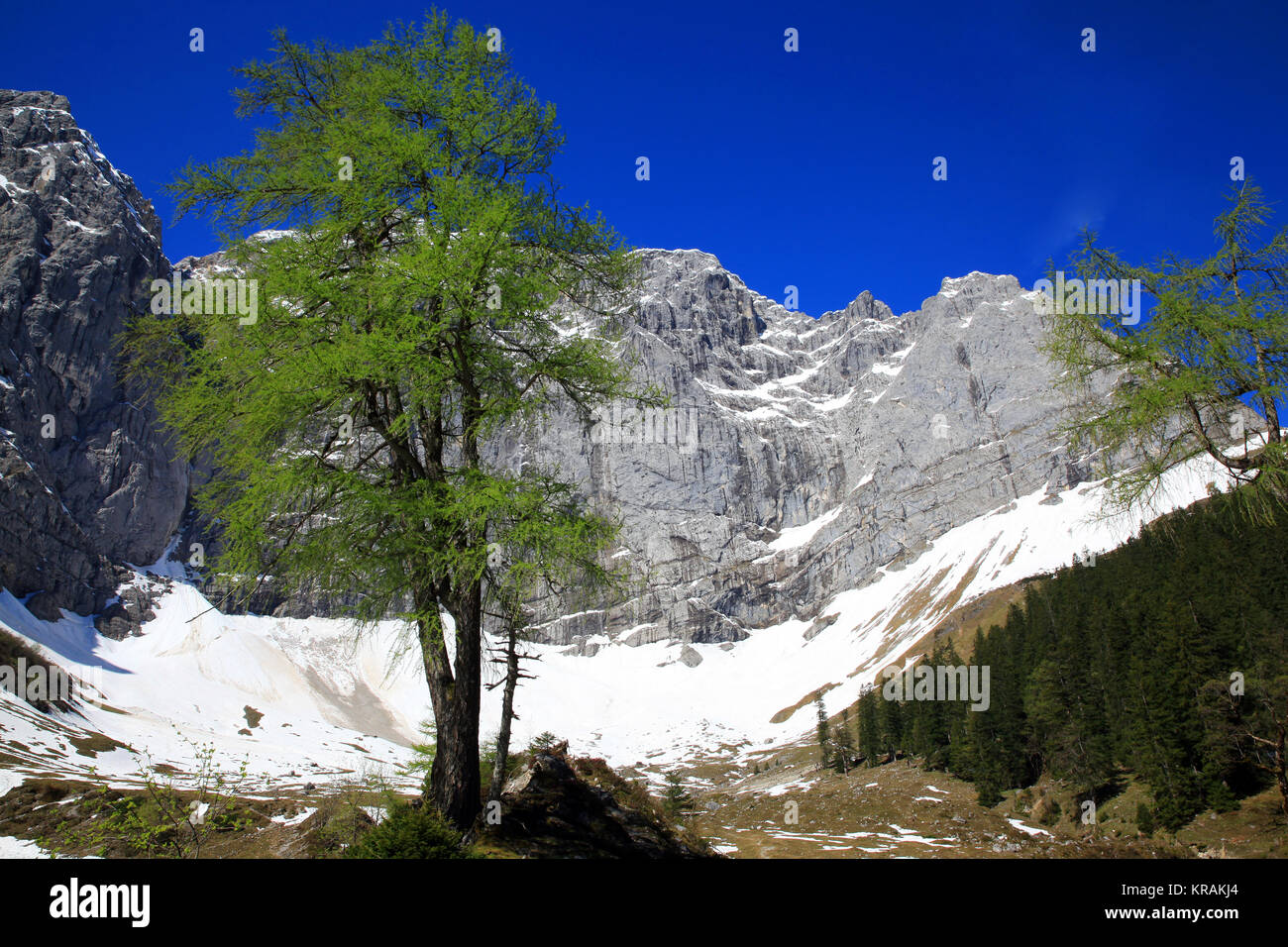 Enger grund hi-res stock photography and images - Alamy