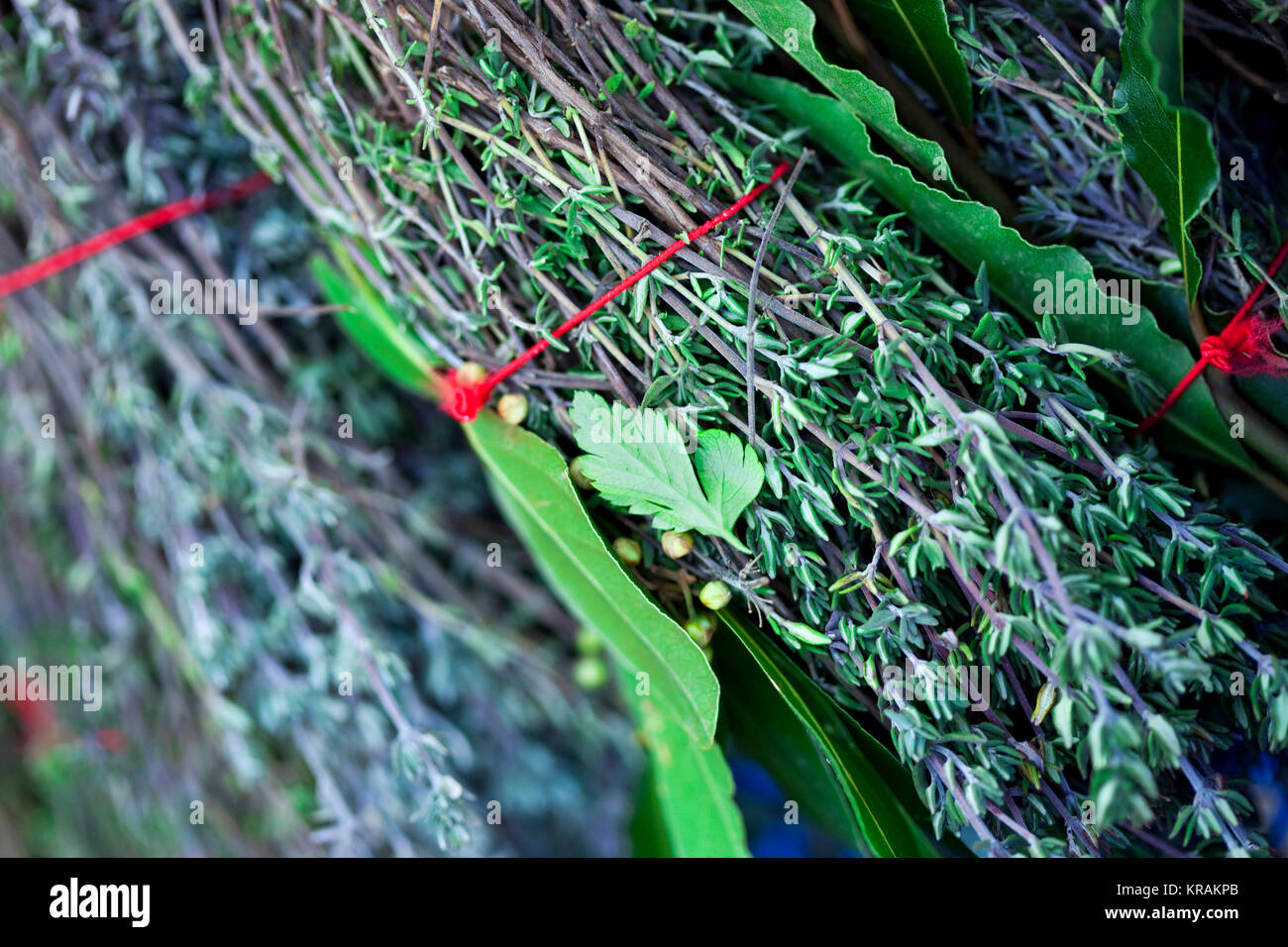 Close up of herbs Stock Photo - Alamy