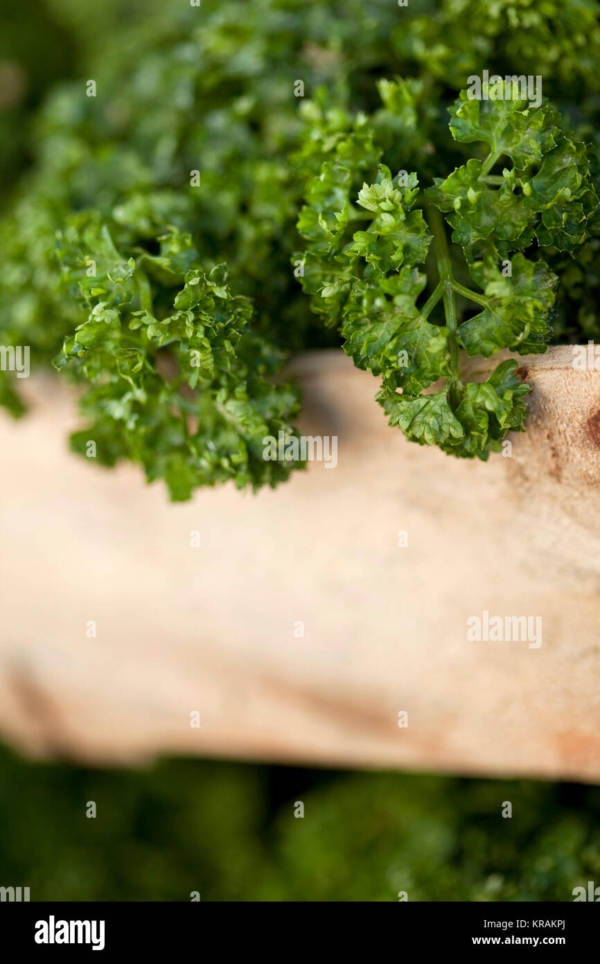 Parsley in a box Stock Photo - Alamy