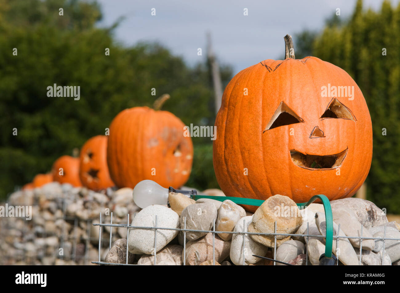 pumpkin with face Stock Photo - Alamy