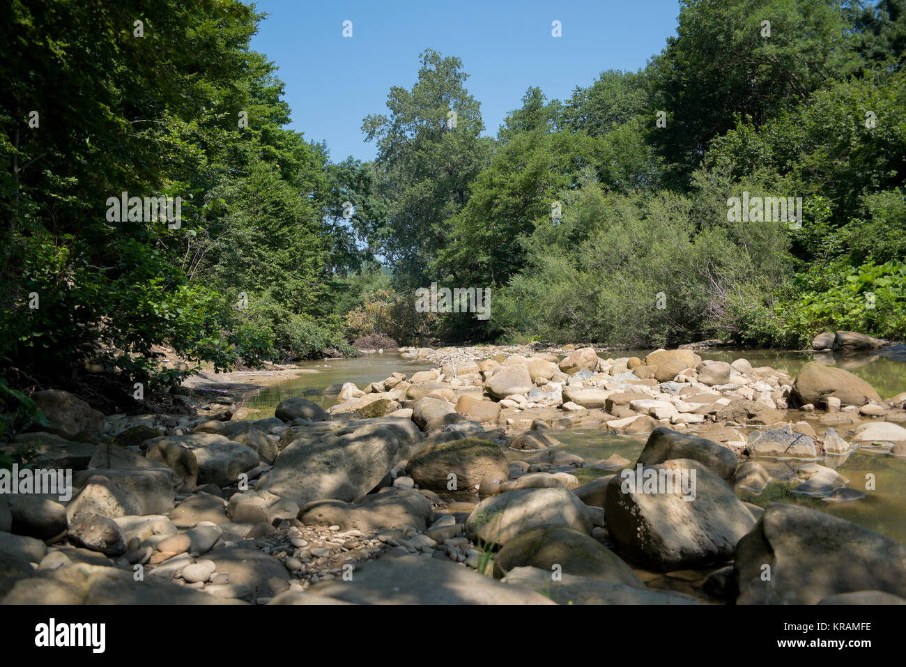Mountain river flowing through the green forest Stock Photo - Alamy