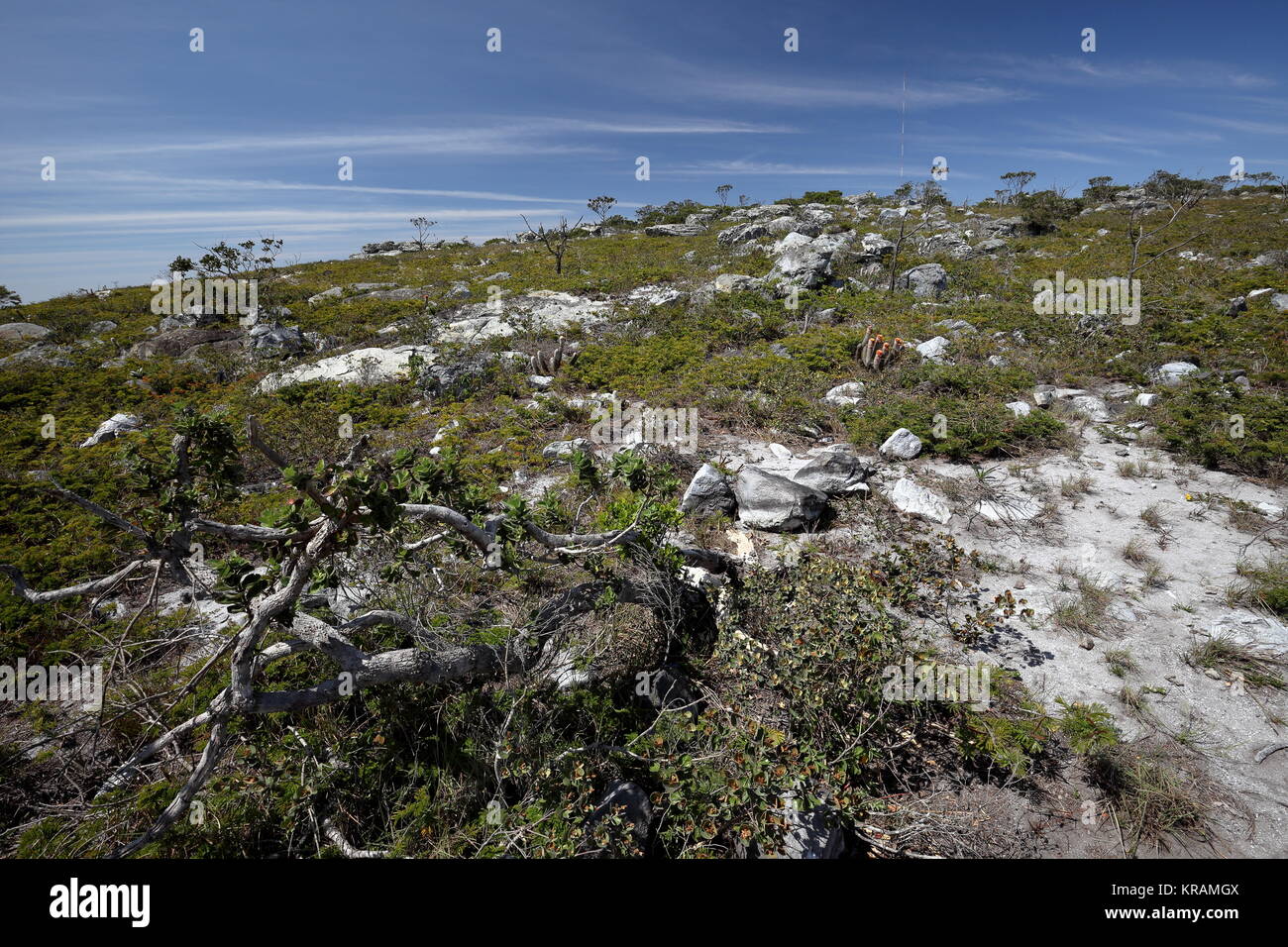 the caatinga landscape in northeast brazil Stock Photo - Alamy