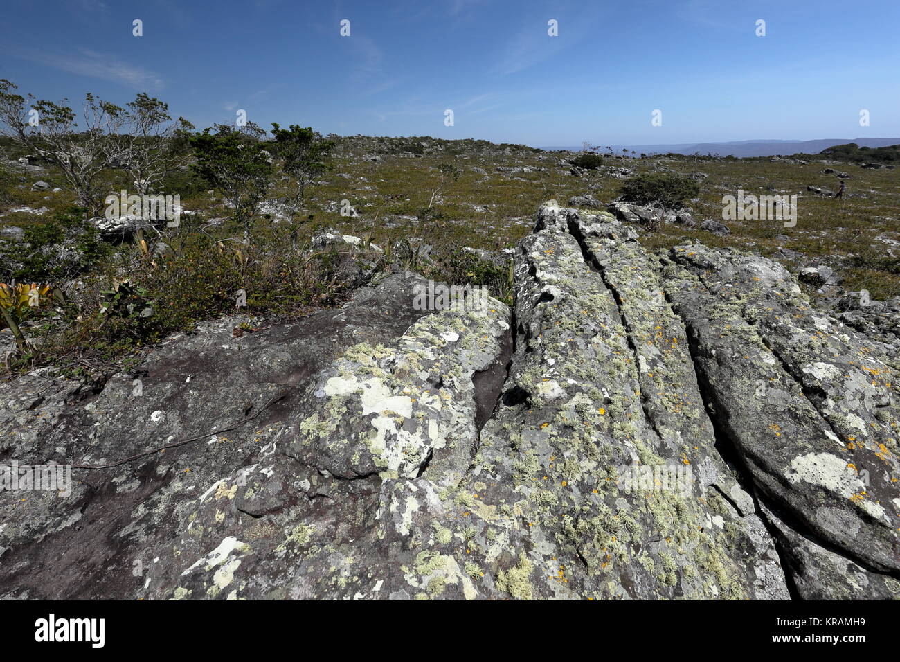 the caatinga landscape in northeast brazil Stock Photo - Alamy