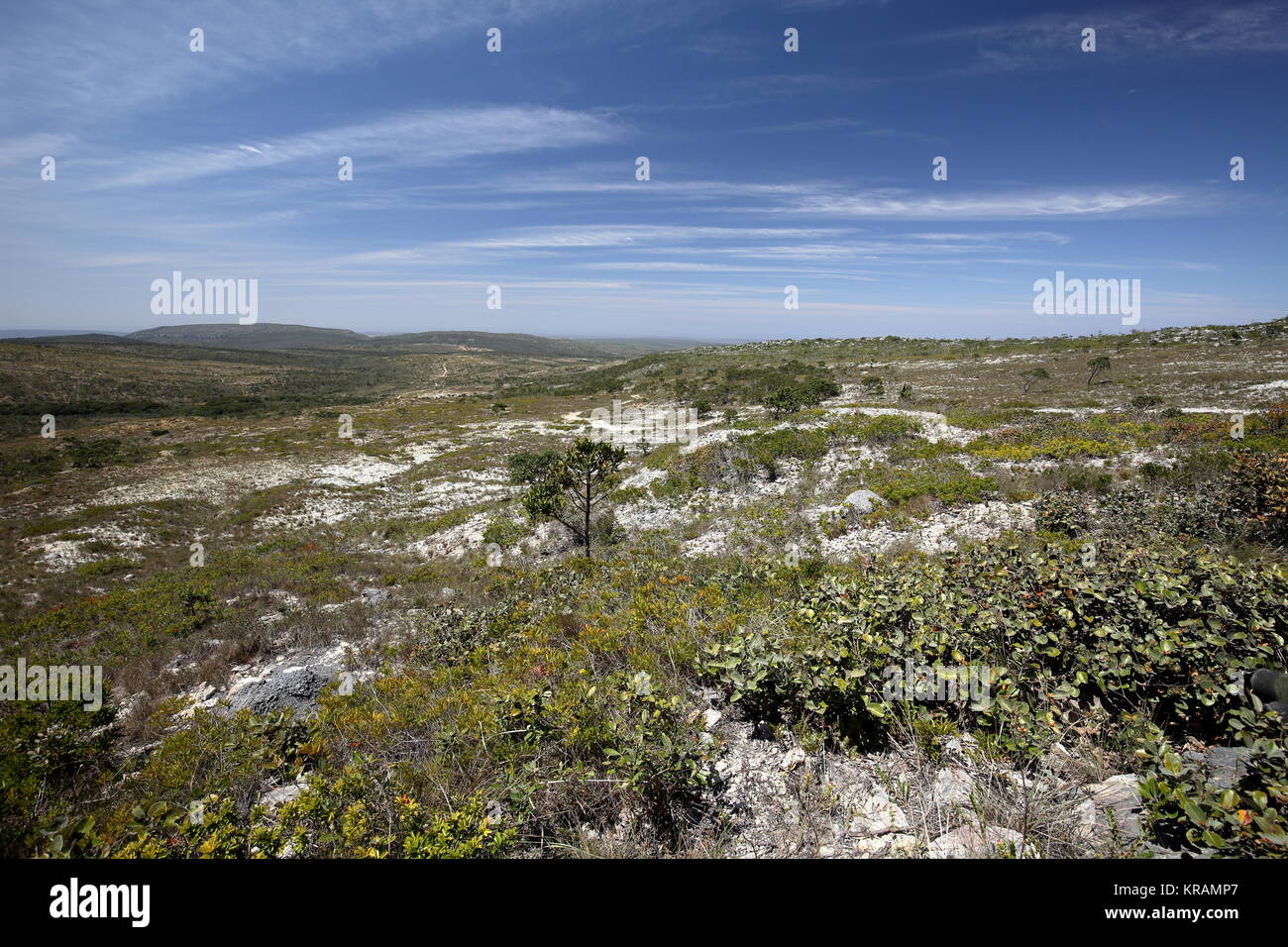 the caatinga landscape in northeast brazil Stock Photo - Alamy