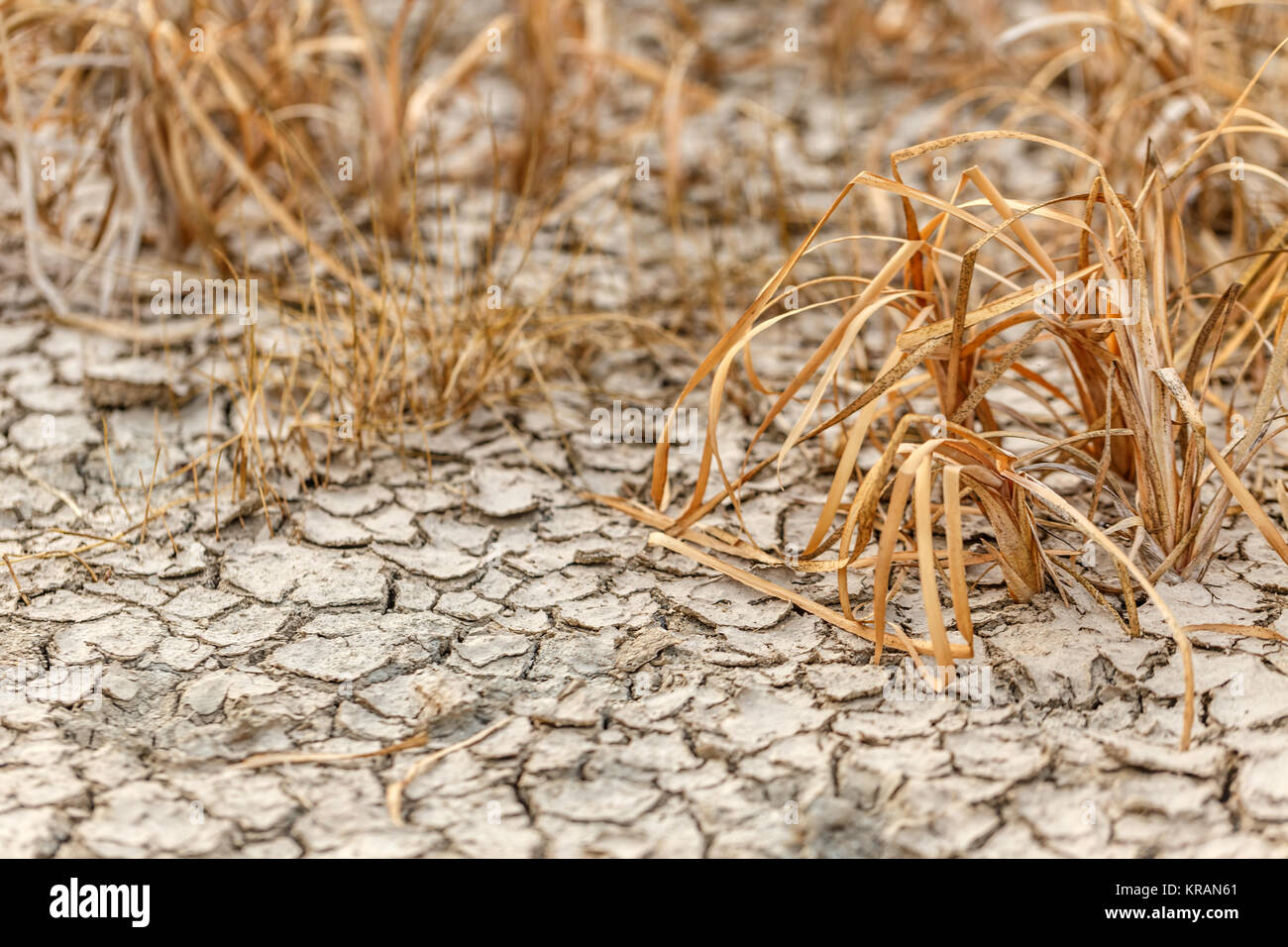 Dead planet earth hi-res stock photography and images - Alamy