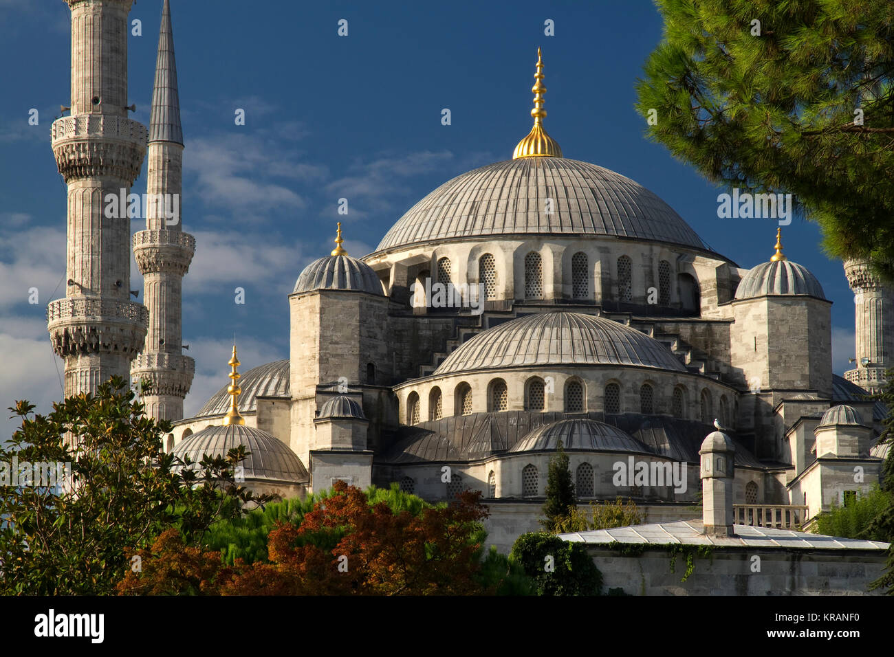 The Blue Mosque Stock Photo - Alamy