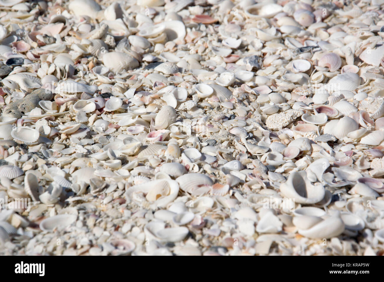 Usa und island hi-res stock photography and images - Alamy