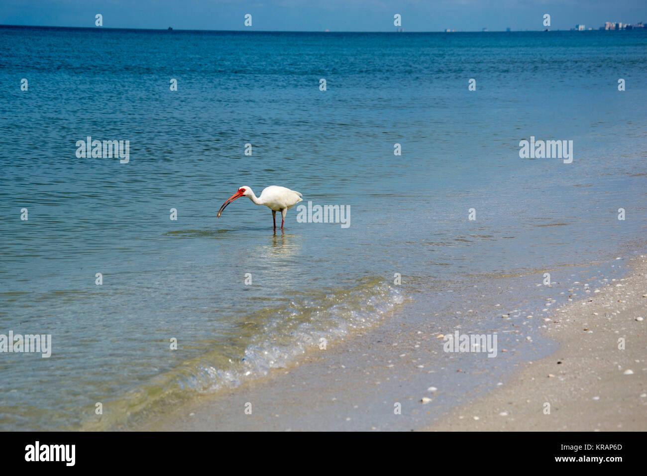 Archivmaterial hi-res stock photography and images - Alamy