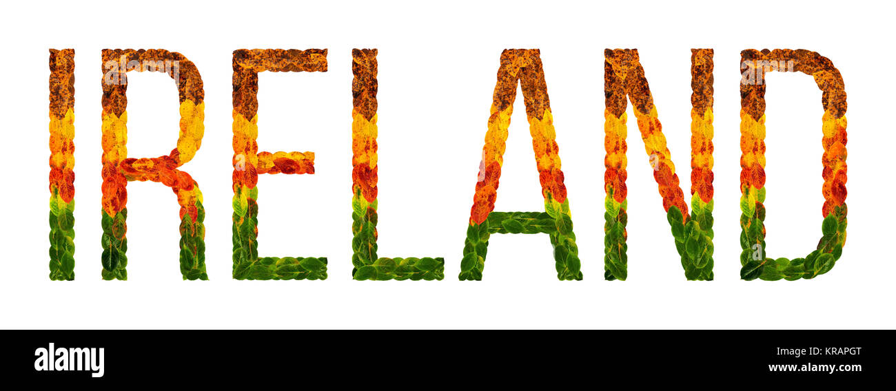 word ireland country is written with leaves on a white insulated ...