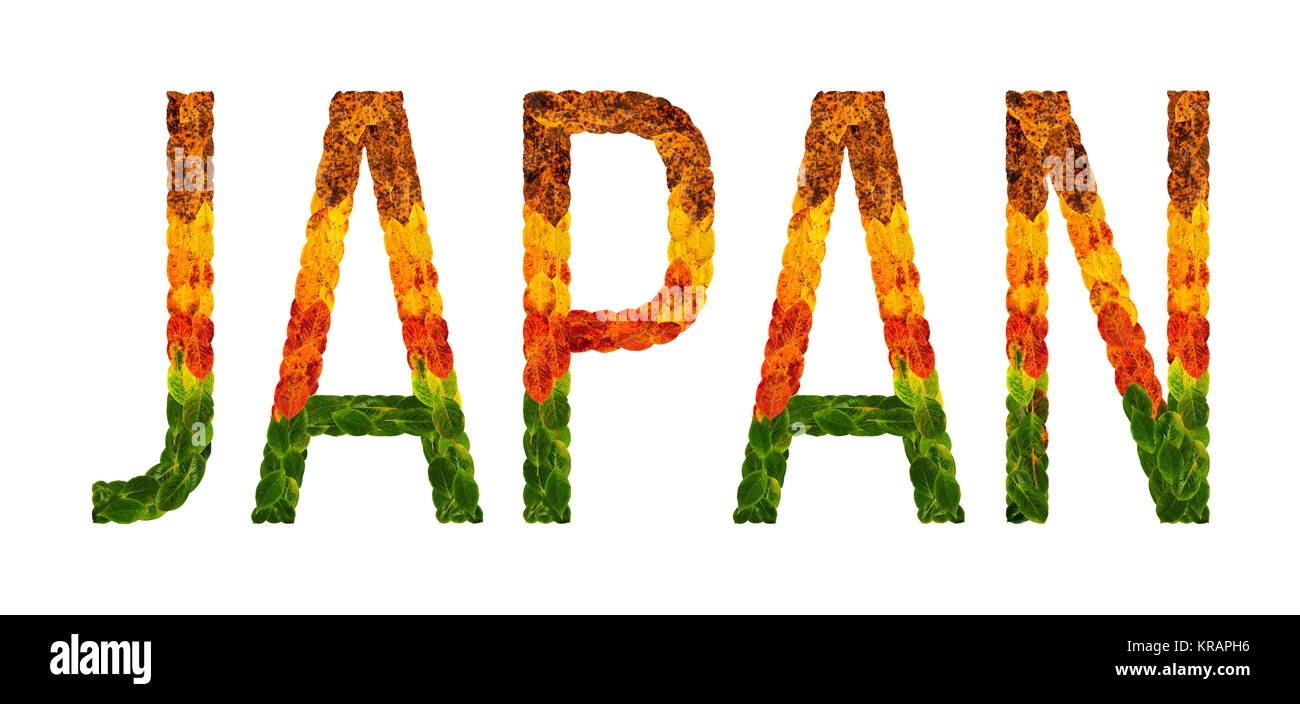 word japan country is written with leaves on a white insulated ...