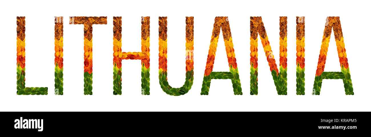 word lithuania country is written with leaves on a white insulated ...