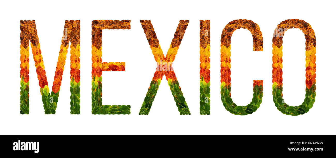 word mexico country is written with leaves on a white insulated ...