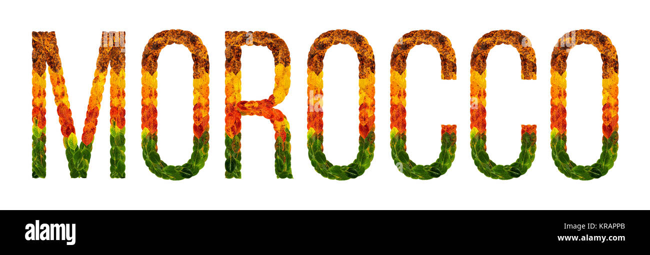 word morocco country is written with leaves on a white insulated ...