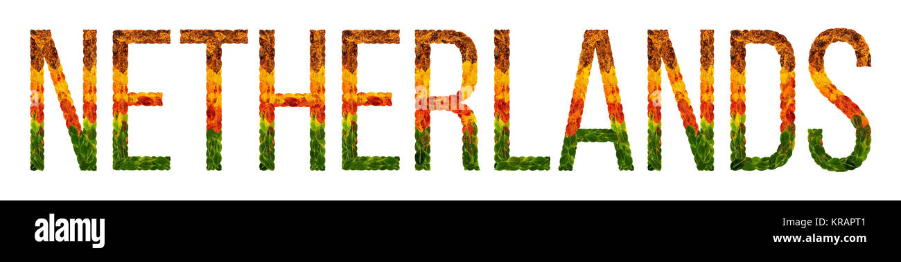 word netherlands country is written with leaves on a white insulated ...