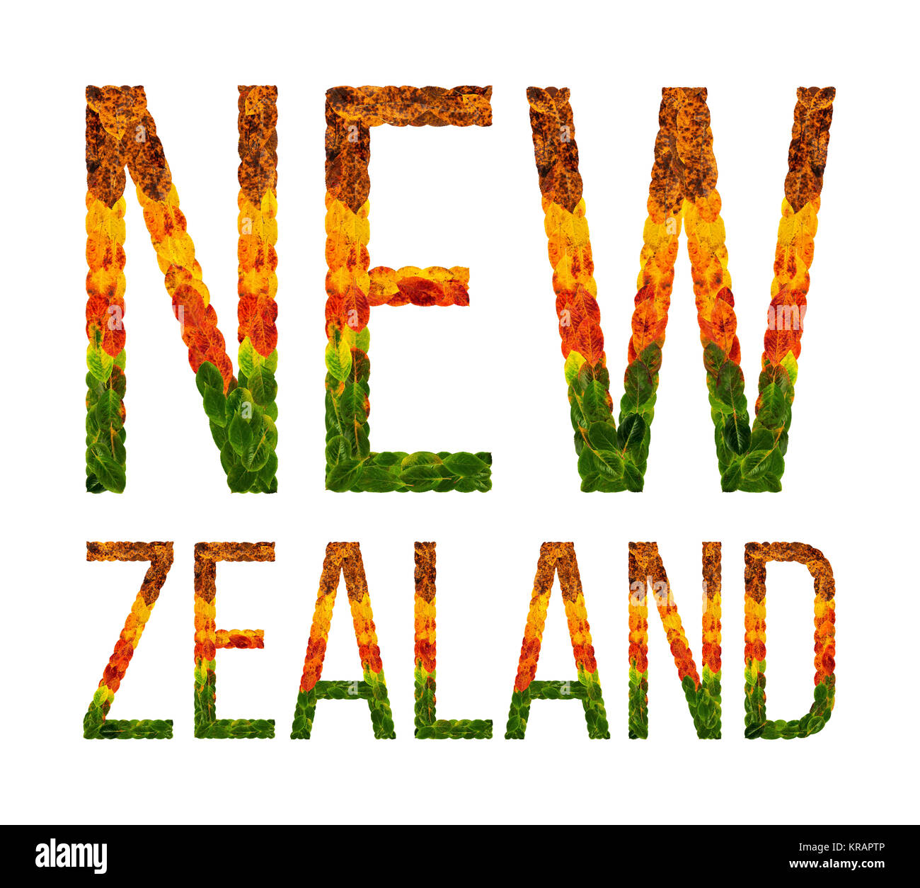 word new zealand country is written with leaves on a white insulated ...