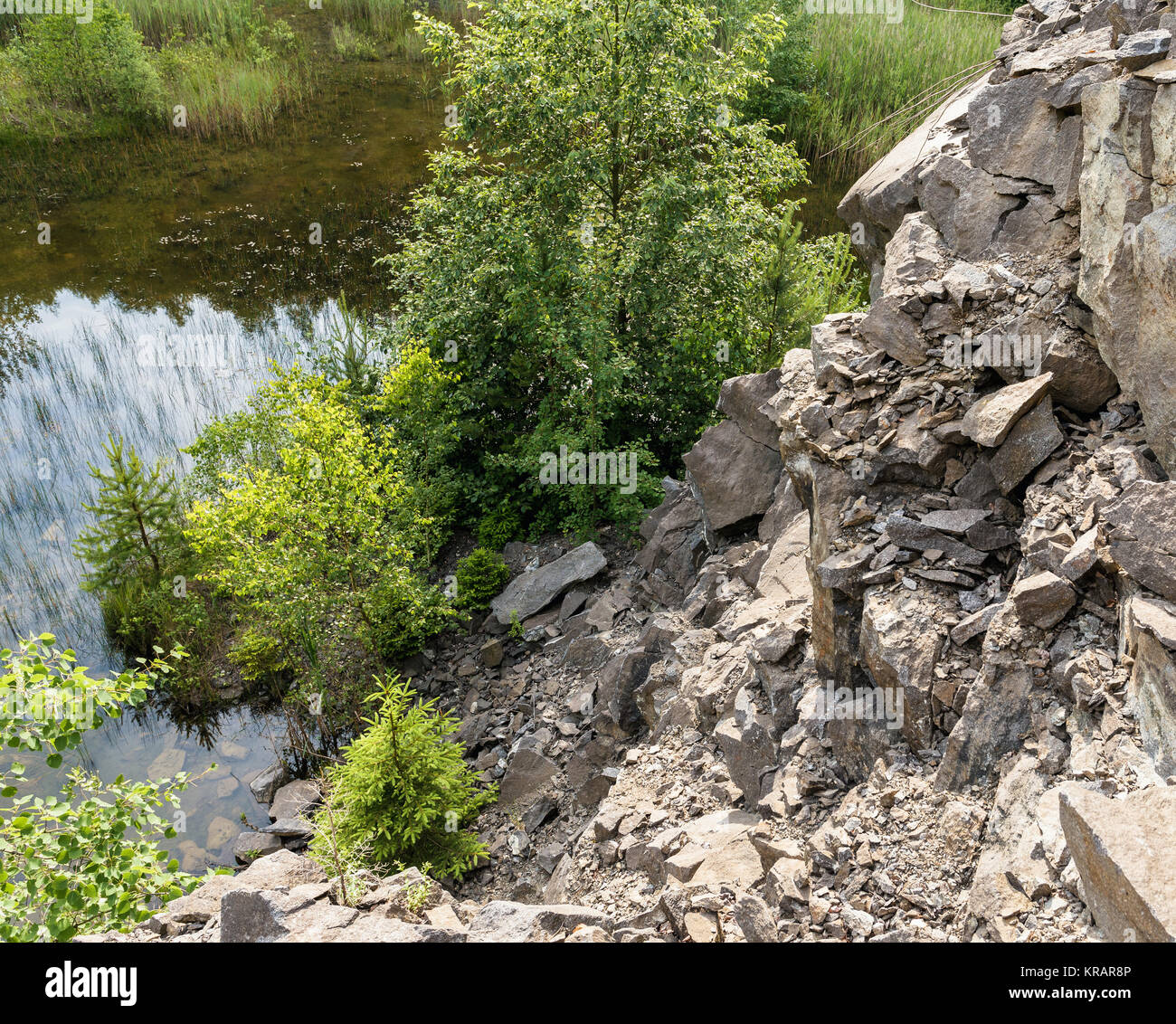 abandoned flooded quarry, Czech republic Stock Photo - Alamy