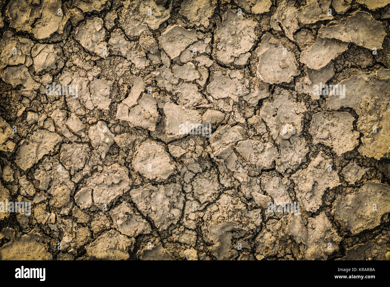 Cracked dry ground Stock Photo - Alamy