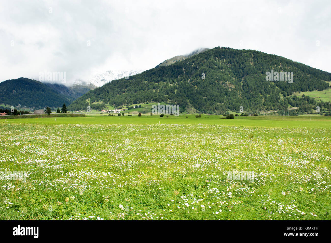 Haidepark hi-res stock photography and images - Alamy