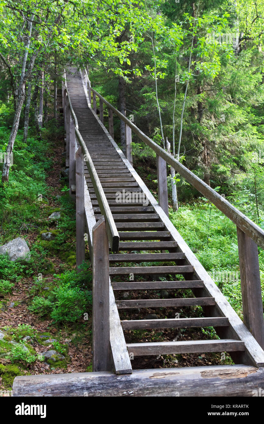 the famous staircase on mount sekirnaya,solovki,karelia,north of russia ...
