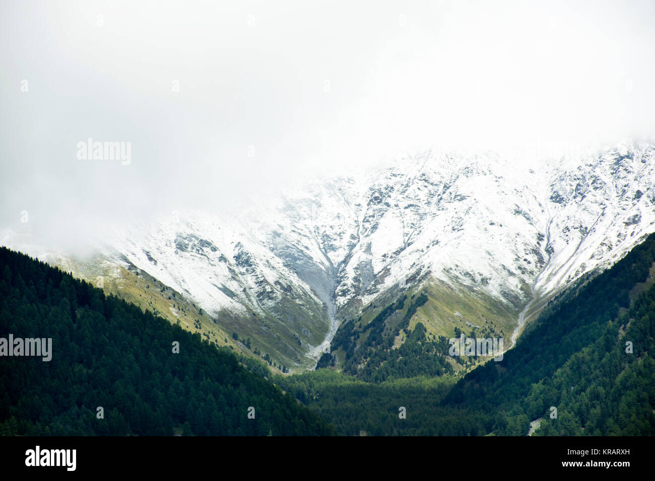Alpine tree forest on the mountain with Alps highest and most extensive ...