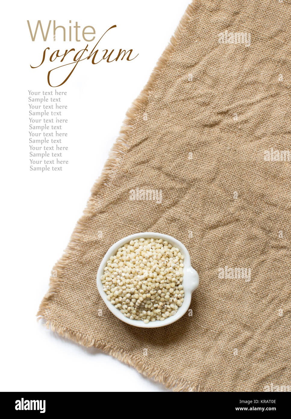 White Sorghum grain Stock Photo - Alamy