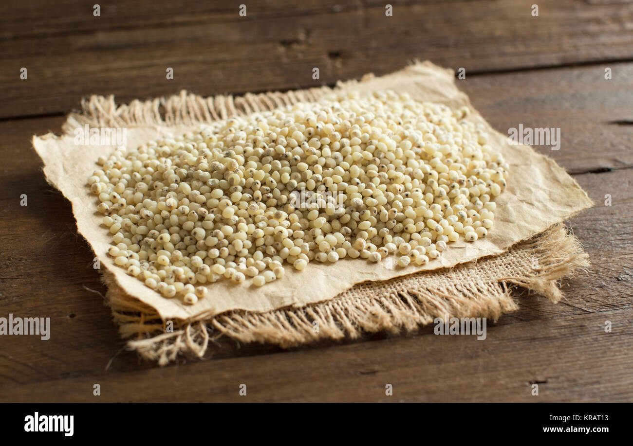 White sorghum grain Stock Photo - Alamy