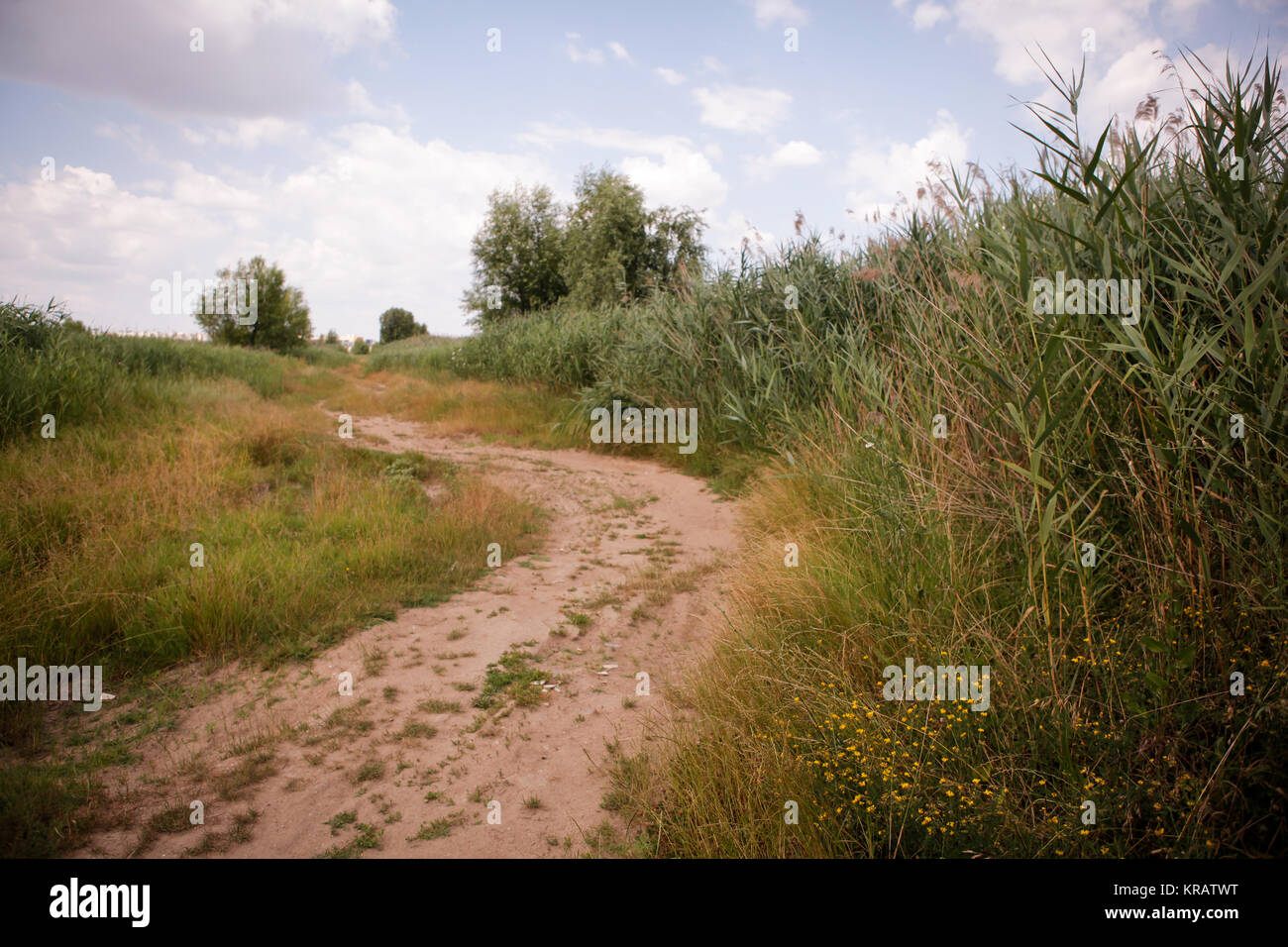 Vacaresti wetlands in Bucharest, Romania, seen from above Stock Photo ...