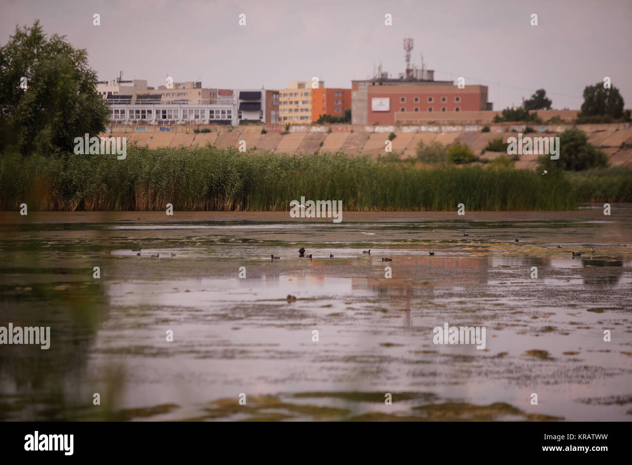Vacaresti wetlands in Bucharest, Romania, seen from above Stock Photo ...