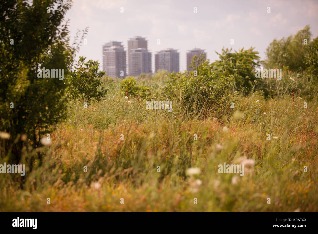 Vacaresti wetlands in Bucharest, Romania, seen from above Stock Photo ...