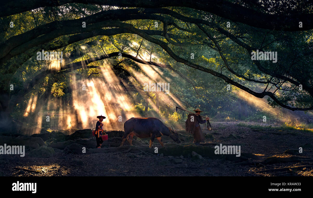 Rural scenery of Xiapu County,Fujian Province,China Stock Photo - Alamy