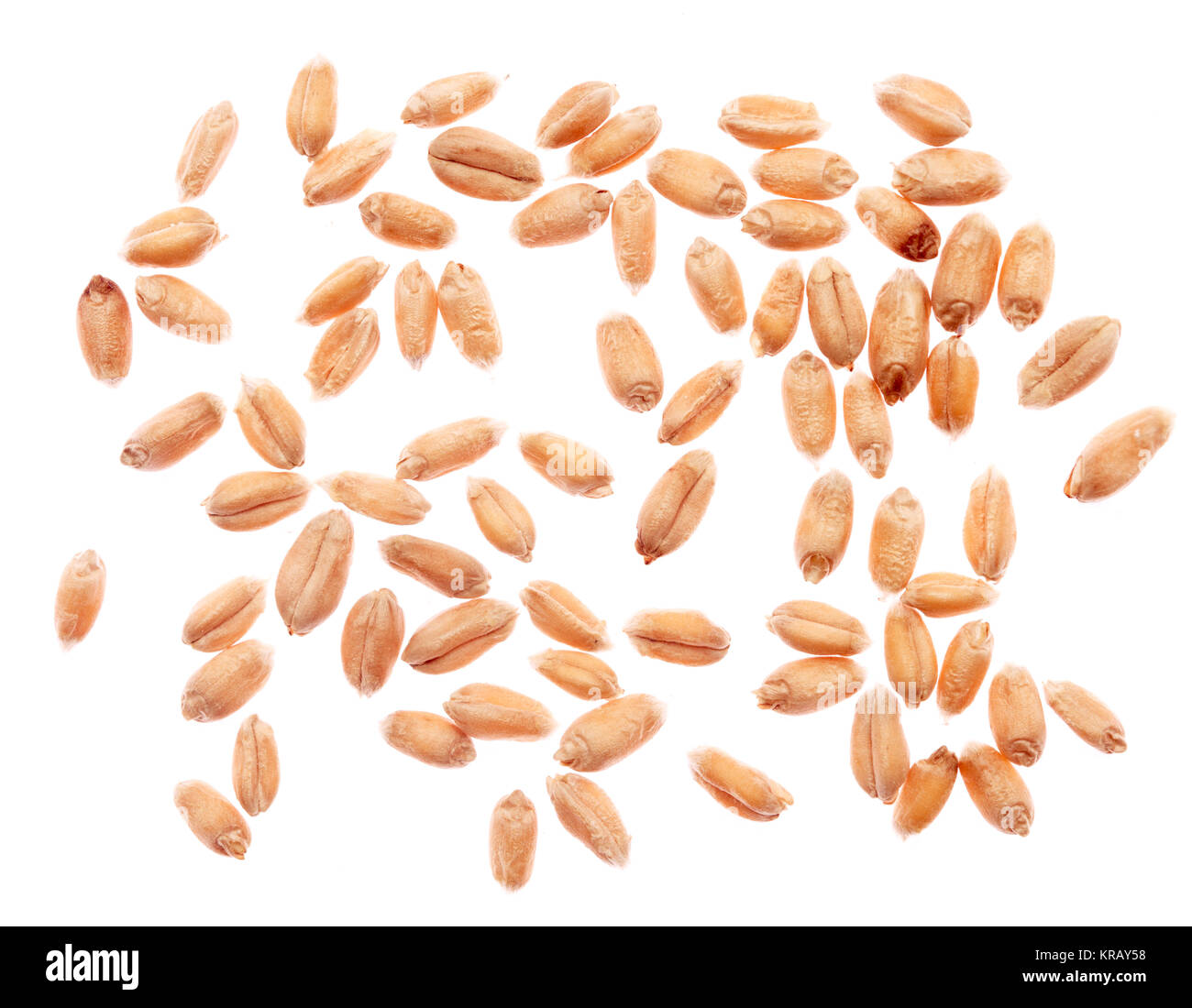 Wheat grains isolated on white background Stock Photo - Alamy