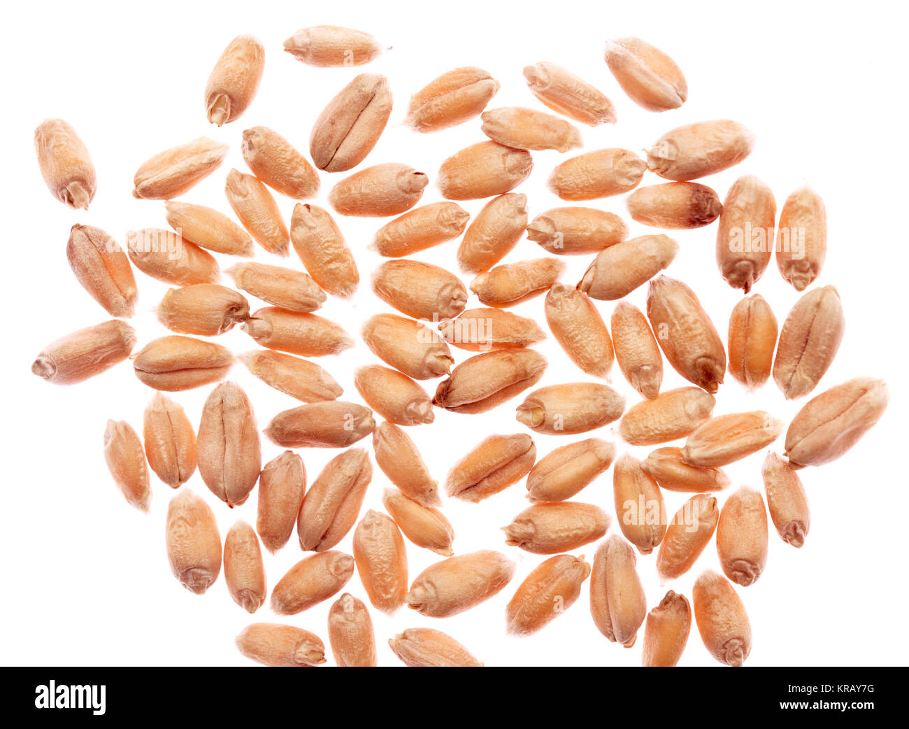 Wheat grains isolated on white background Stock Photo - Alamy