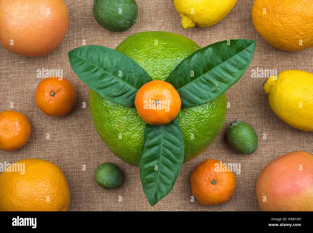 View from above on whole citrus fruits assortment on natural sacking ...