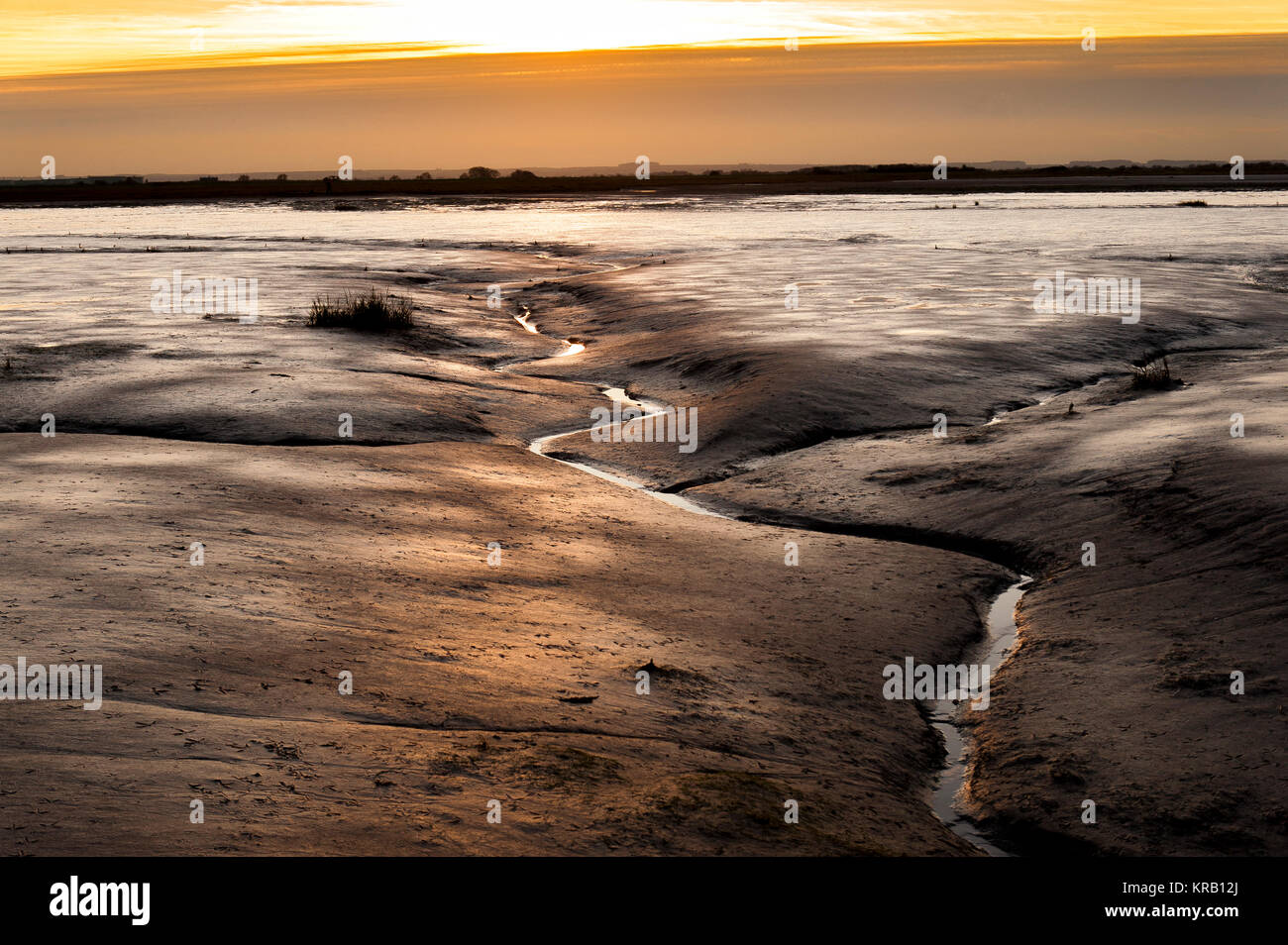 Mudflats estuary scene Stock Photo - Alamy