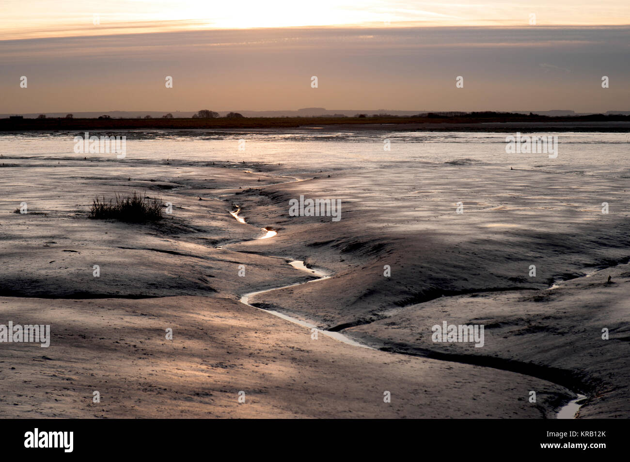 Mudflats estuary scene Stock Photo - Alamy