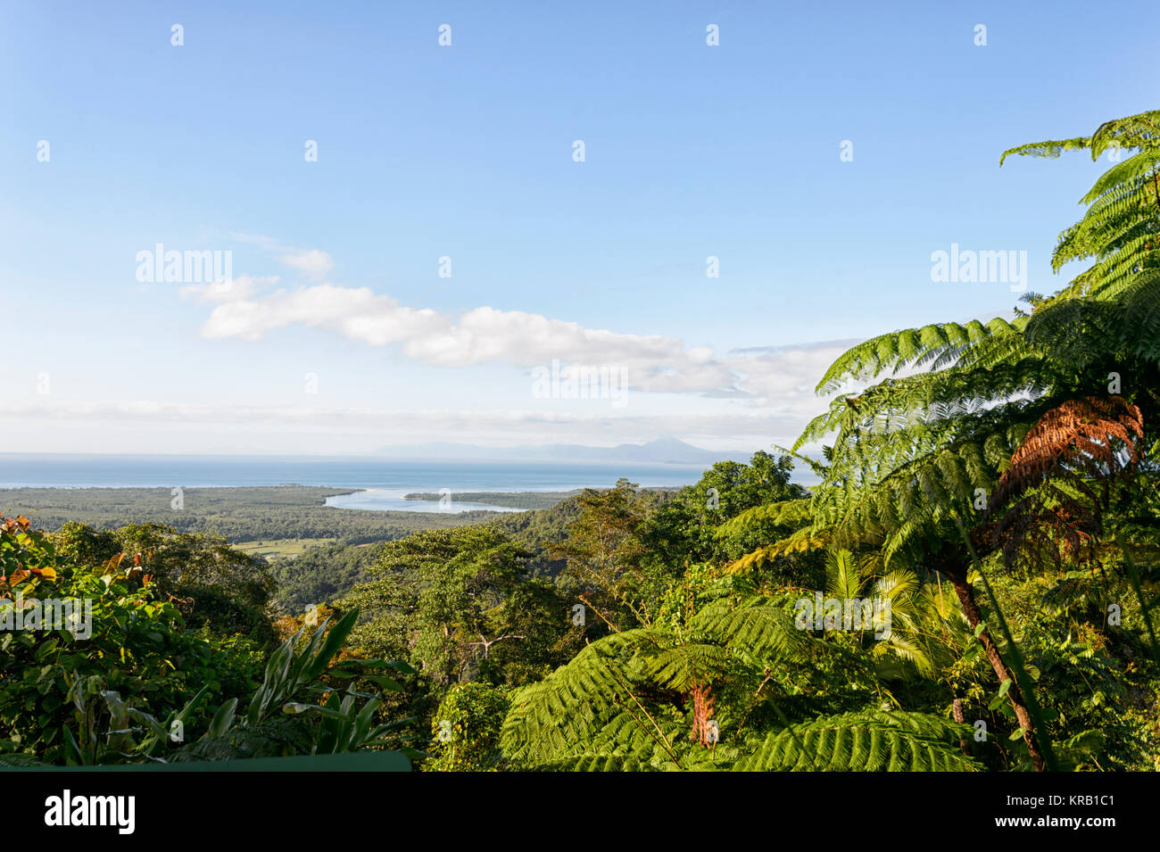 View of the Daintree River mouth from the Alexandra Range Lookout, Cape ...