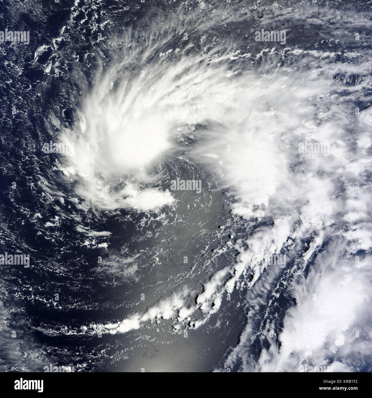 Merbok hi-res stock photography and images - Alamy