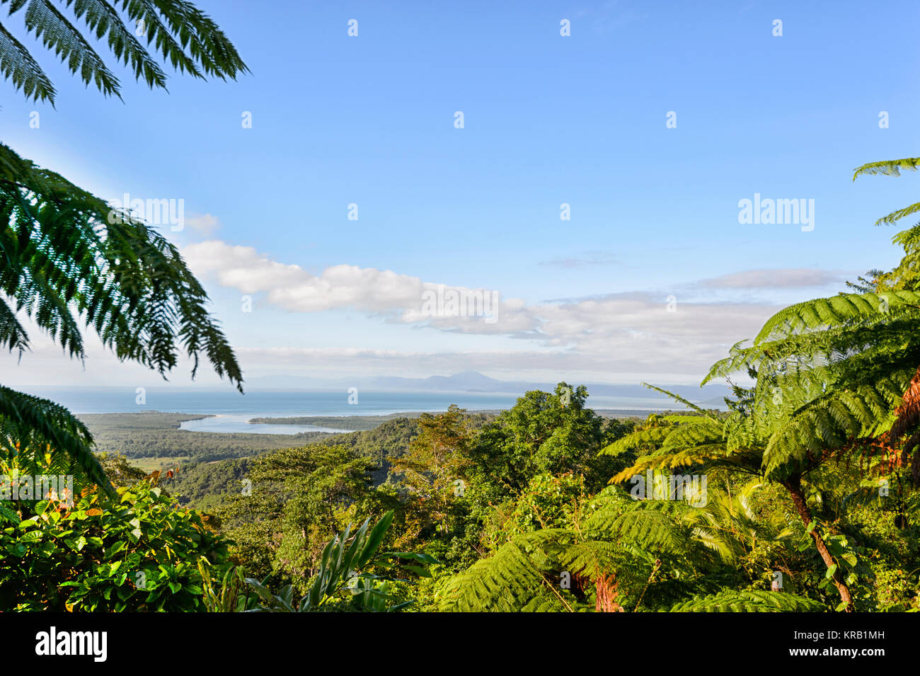 View of the Daintree River mouth from the Alexandra Range Lookout, Cape ...