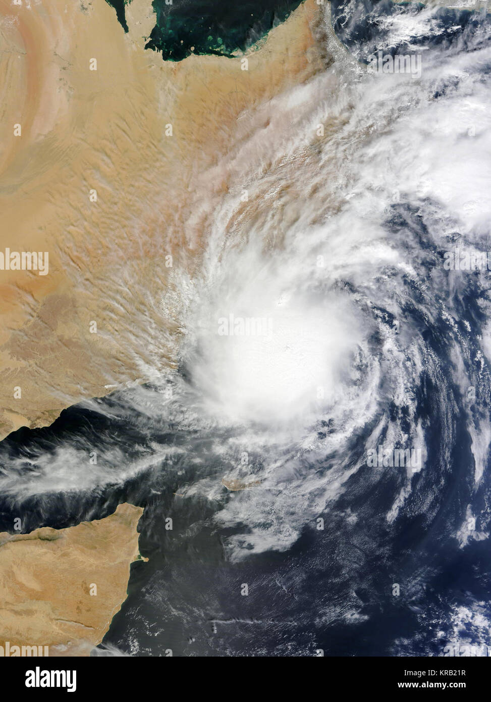 1 1 arb hi-res stock photography and images - Alamy