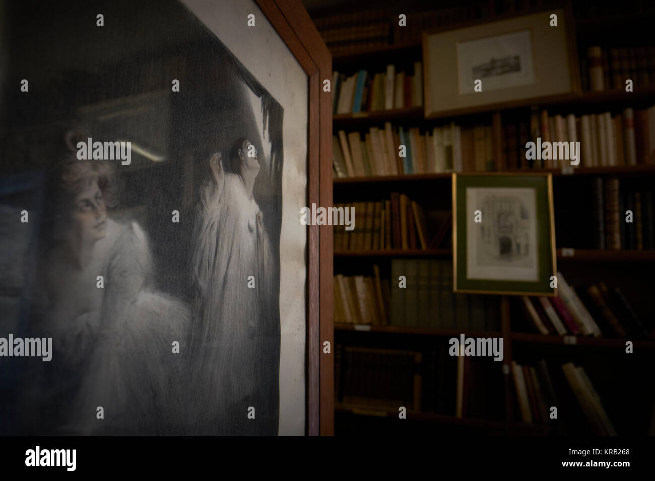 An antique bookshop interior Stock Photo - Alamy