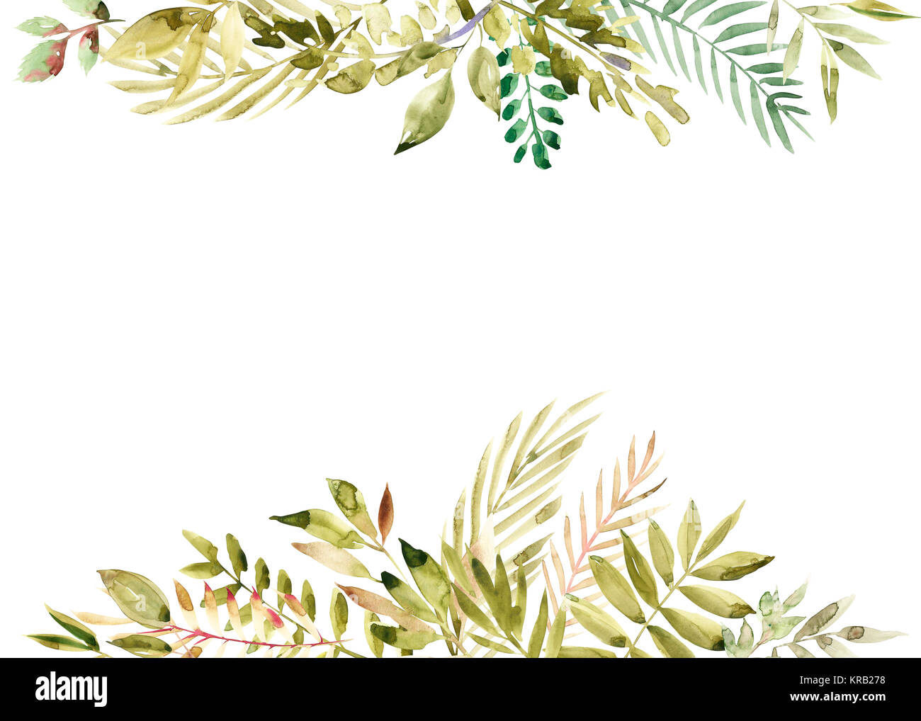 Watercolor hand painted green floral banner isolated on white ...