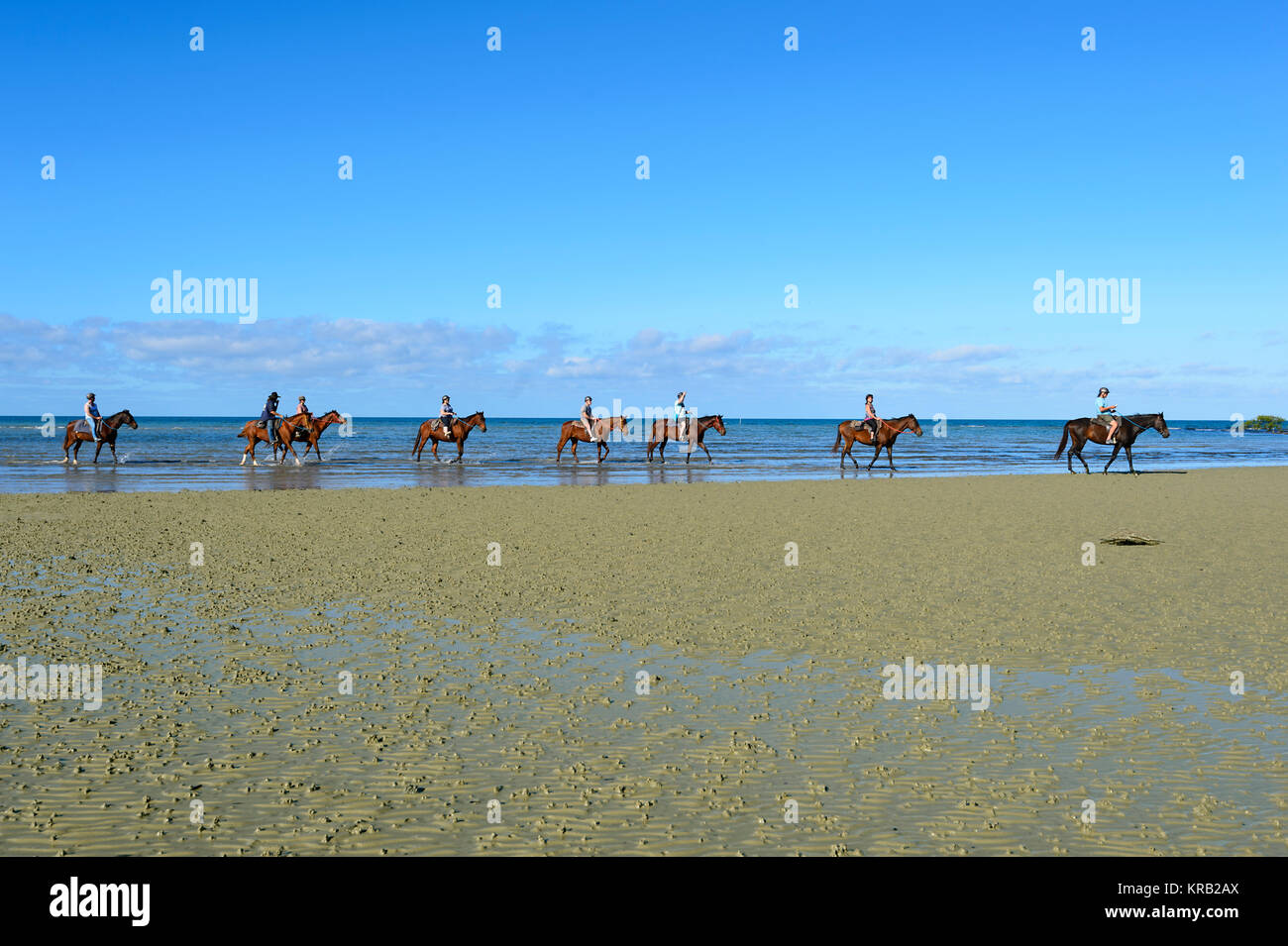 Horse riding on Myall Beach, Cape Tribulation, Far North Queensland ...