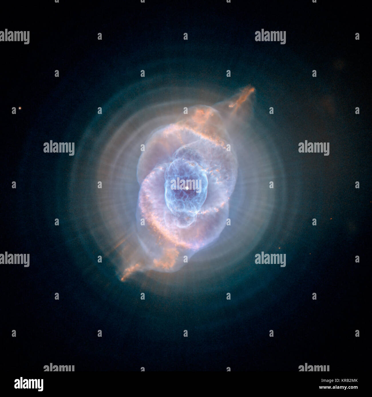 Catseye night hi-res stock photography and images - Alamy