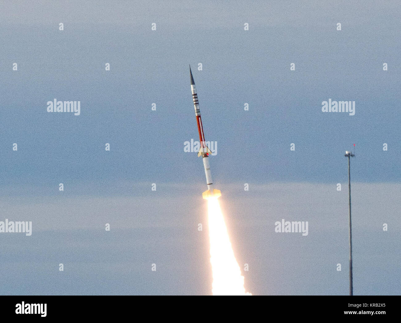 Terrier improved hi-res stock photography and images - Alamy