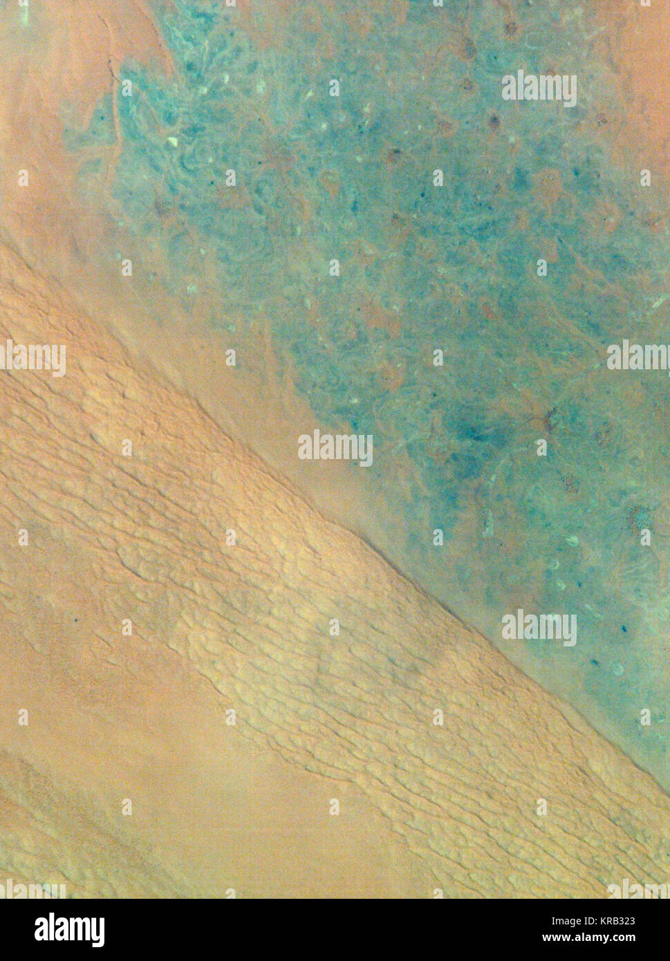 Al dahna hi-res stock photography and images - Alamy