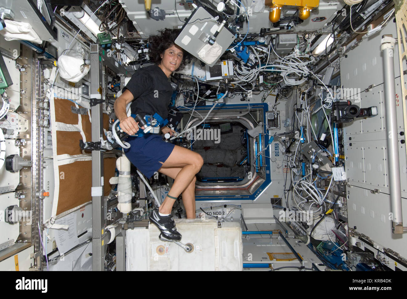 Expedition 32 flight engineer Sunita Williams Exercises on CEVIS Stock ...
