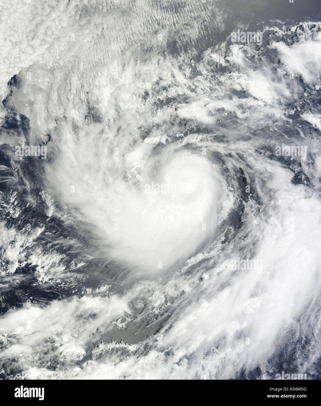 Gilma hi-res stock photography and images - Alamy