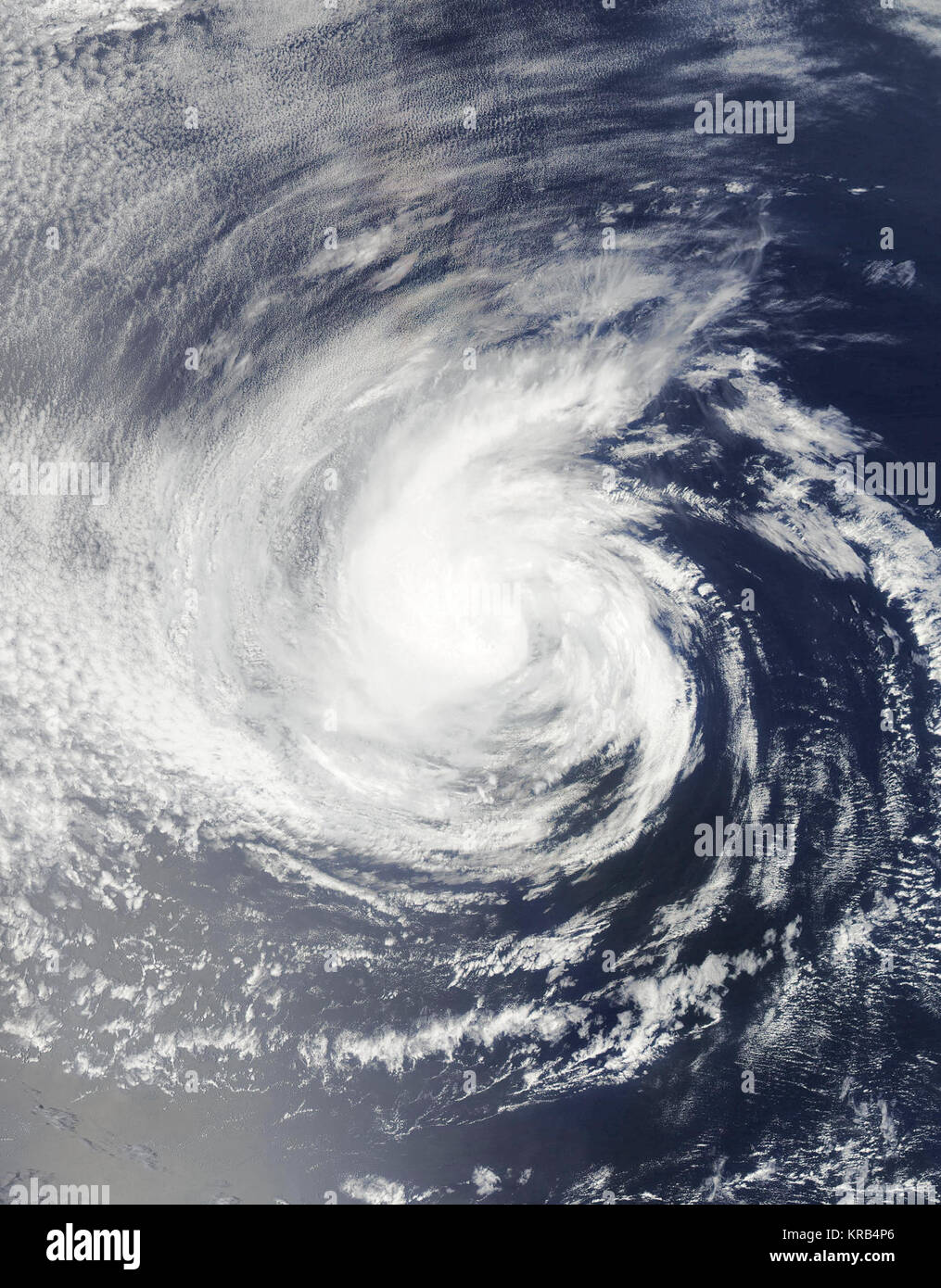 Gilma hi-res stock photography and images - Alamy